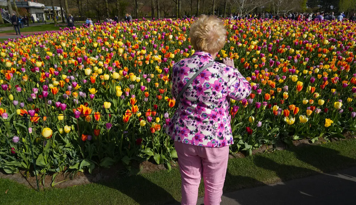 FOTO: Melihat Keindahan Aneka Bunga di Taman Keukenhof Belanda - Foto ...