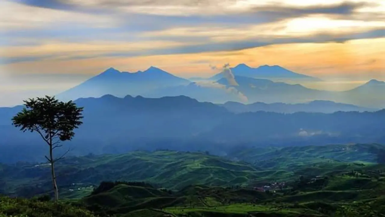 6 Fakta Menarik Gunung Halimun, Bagian dari Taman Nasional Gunung ...