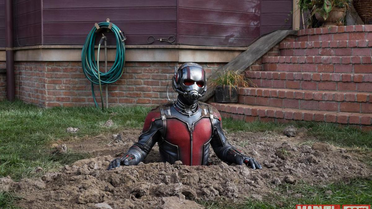 Sekuel Ant-Man Bakal Jauh Lebih Mengerikan - ShowBiz Liputan6.com