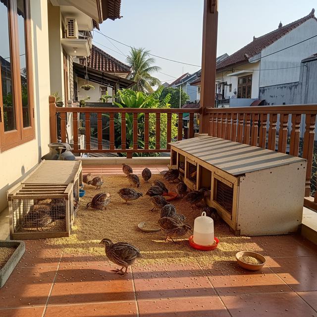 9 Ternak Mini di Teras Rumah yang Hasilnya Bisa Buat Uang Jajan Harian