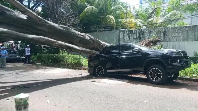 Ada Pohon Tumbang di Dekat Rumah Prabowo, Timpa Sebuah Mobil - News Liputan6.com