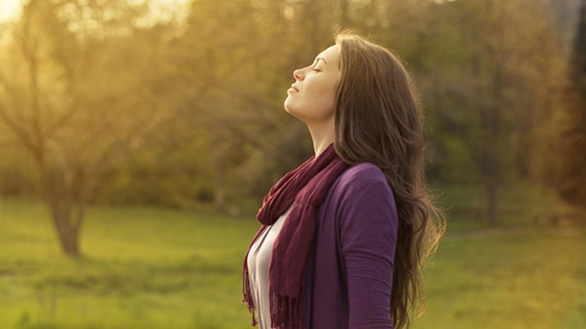 Ingin Sukses? Berhentilah Bermimpi, Mulailah Mengambil 5 Langkah Ini ...