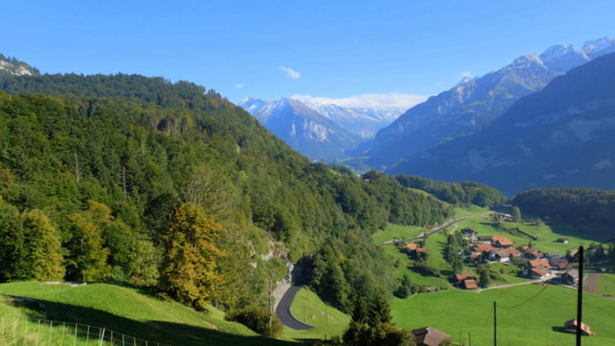 Uttwil, Desa Kecil di Swiss yang Penuh Kedamaian - Citizen6 Liputan6.com