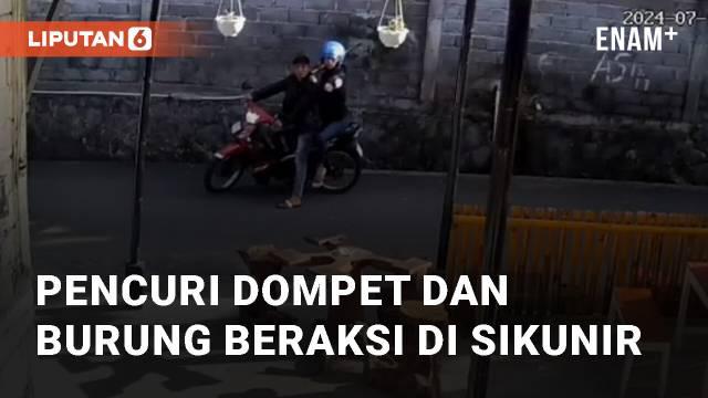 Berita Pencuri Burung Hari Ini - Kabar Terbaru Terkini | Liputan6.com