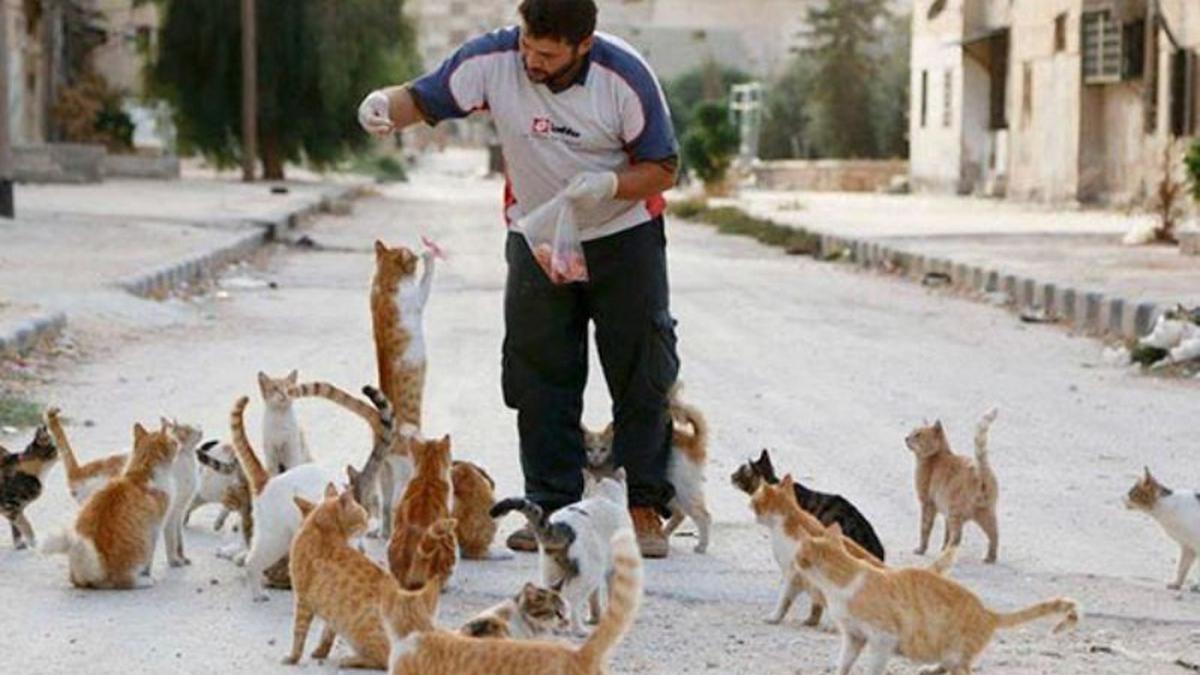 Manusia Kucing, Bertahan di Zona Perang Rawat Kucing Telantar ...