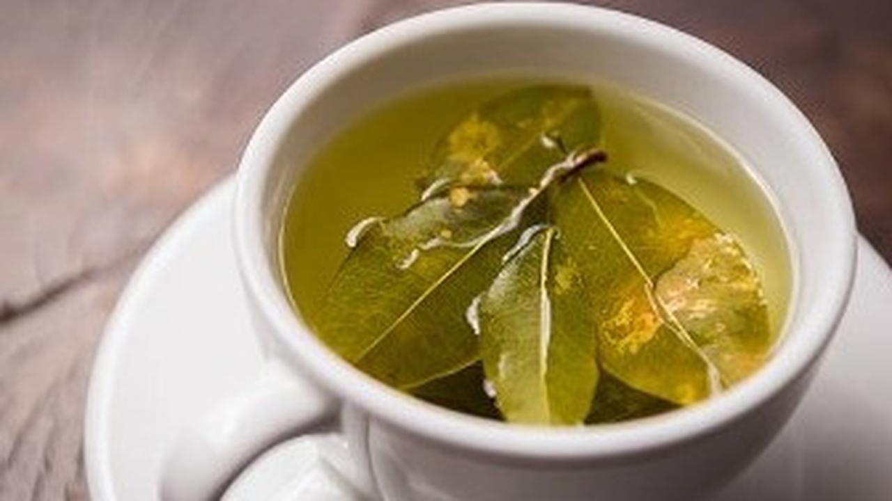 Resep Rebusan Daun Salam, Obat Alami untuk Kolesterol dan Asam Urat