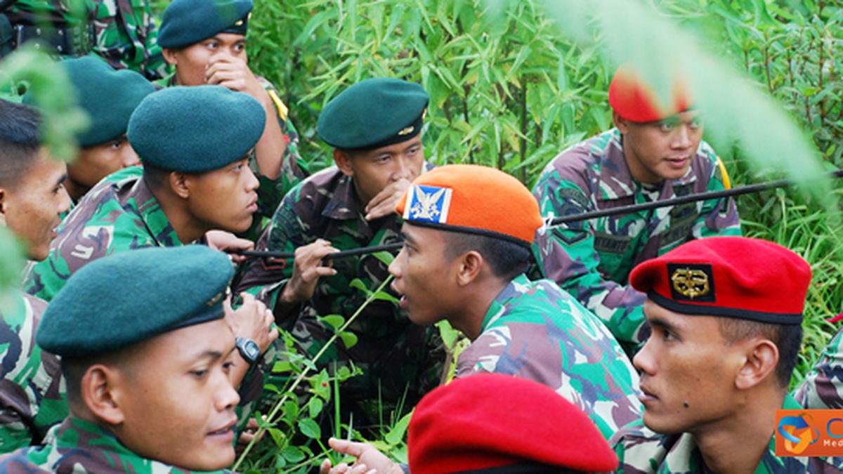 Berita 523 prajurit TNI Hari Ini - Kabar Terbaru Terkini | Liputan6.com
