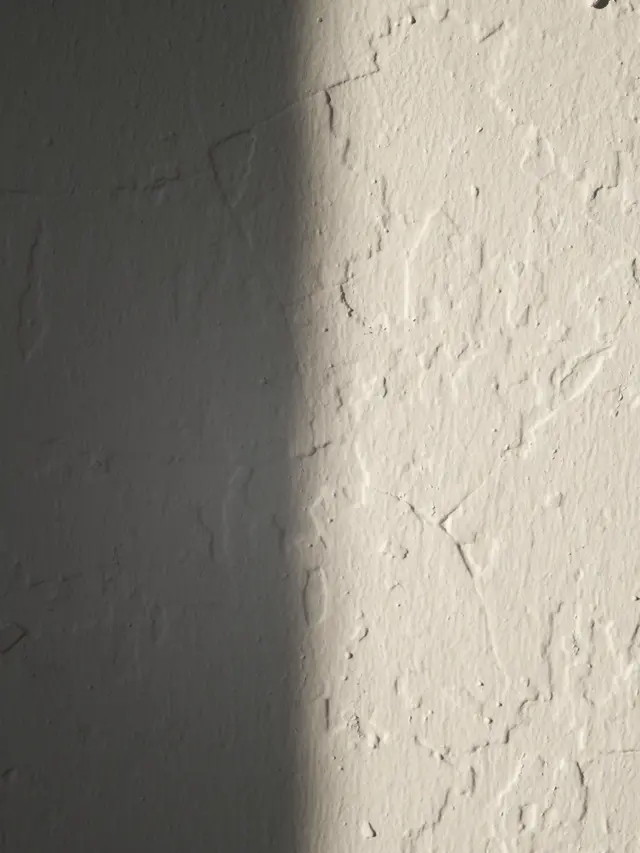 10 Rekomendasi Cat Tembok Terbaru Agar Tidak Mudah Luntur atau Malah ...