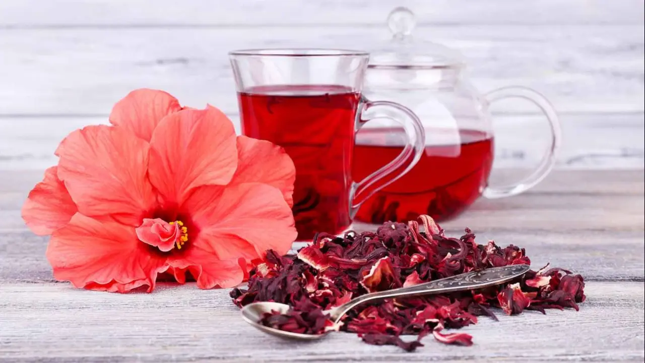 9 Manfaat Bunga Sepatu bagi Kesehatan, Waspadai Risiko Efek Sampingnya ...