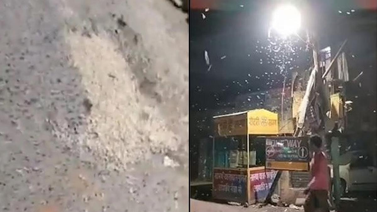 Viral Hujan Cacing di India, Fenomena Unik Bikin Warga Bingung - Hot ...