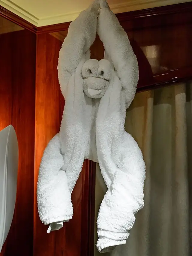 7 Ide Seni Origami dari Handuk yang Unik dan Tidak Terduga - Hot ...