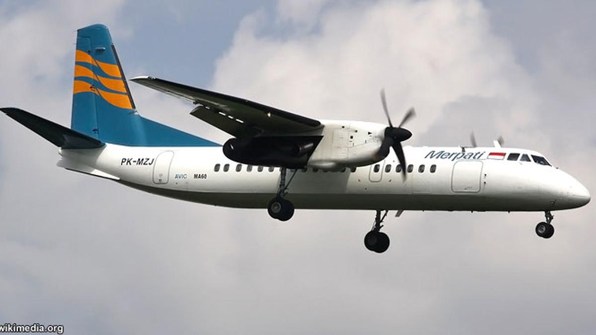 Kembali Lagi ke Merpati, Mampukah Asep Benahi Maskapai Ini? - Bisnis ...