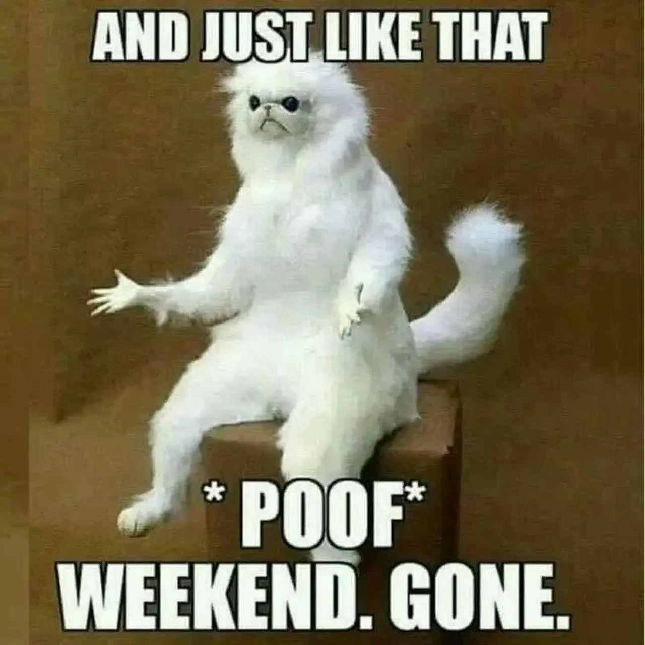 6 Meme Hari Minggu Ini Bikin Ketawa Kecut, Besok Udah Hari Senin - Hot ...