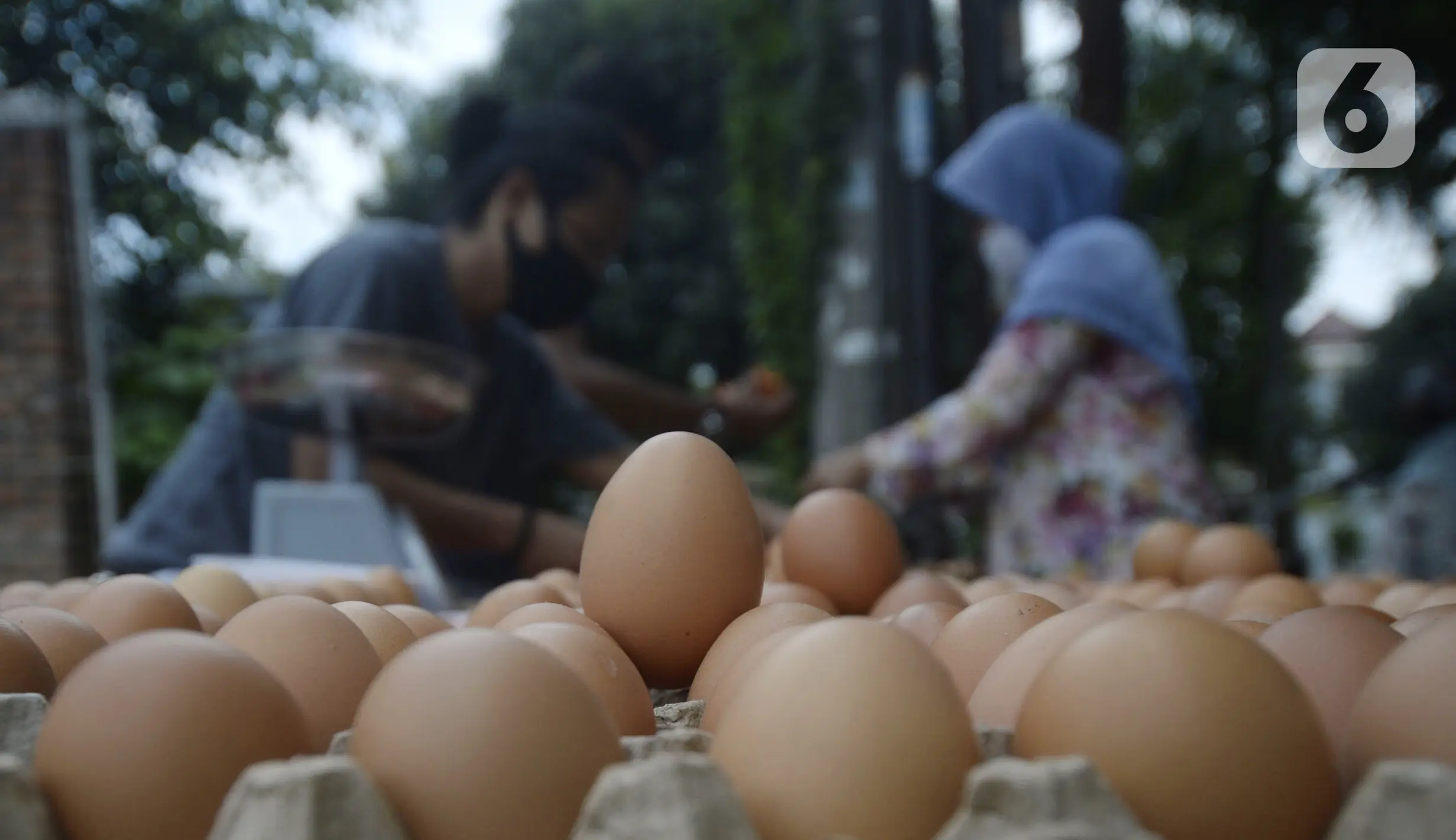 FOTO: Jelang Lebaran, Harga Telur Ayam di Tangsel Masih Normal - Foto ...
