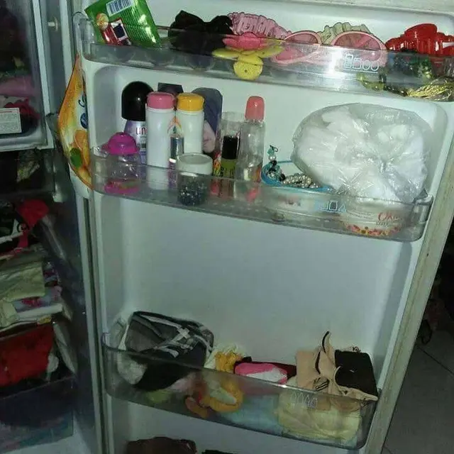 7 Potret Kulkas Rusak Jadi Lemari Ini Isinya Nyeleneh, Bikin Tepuk ...