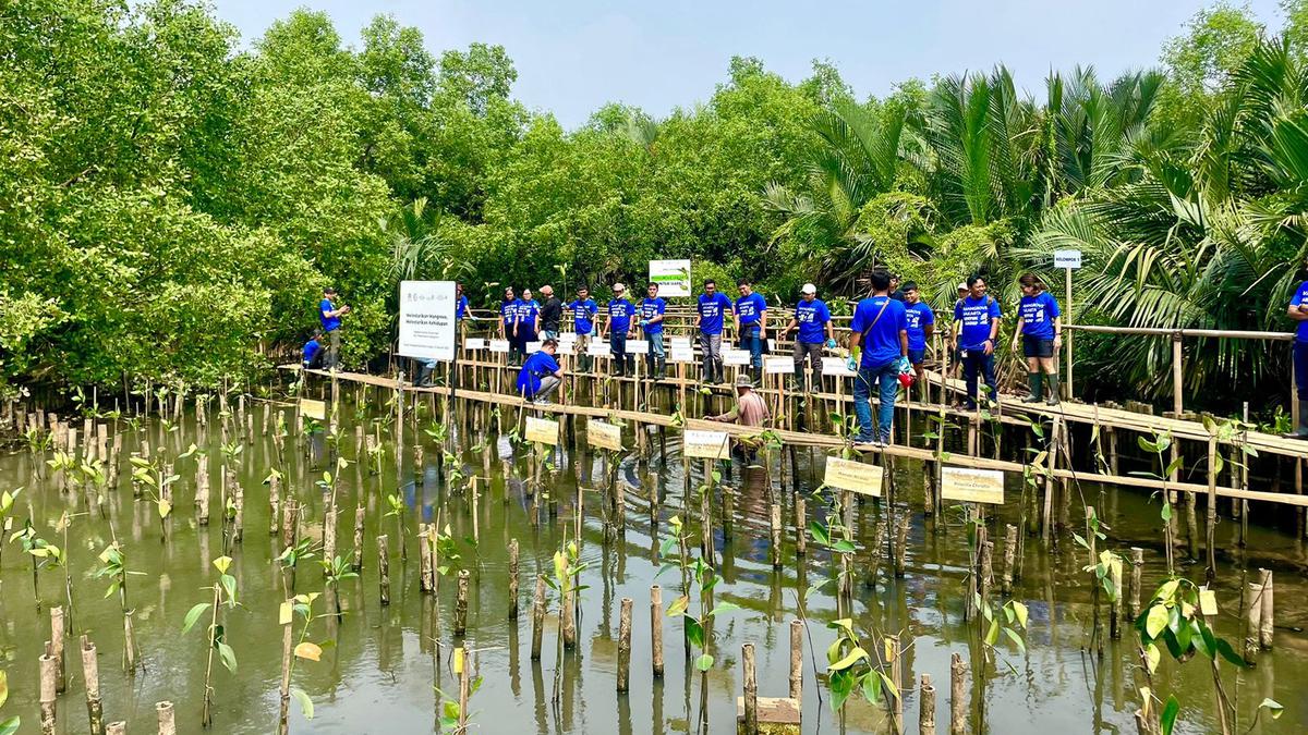 Suaka Margasatwa Muara Angke, Benteng Pertahanan Terakhir Jakarta dari ...