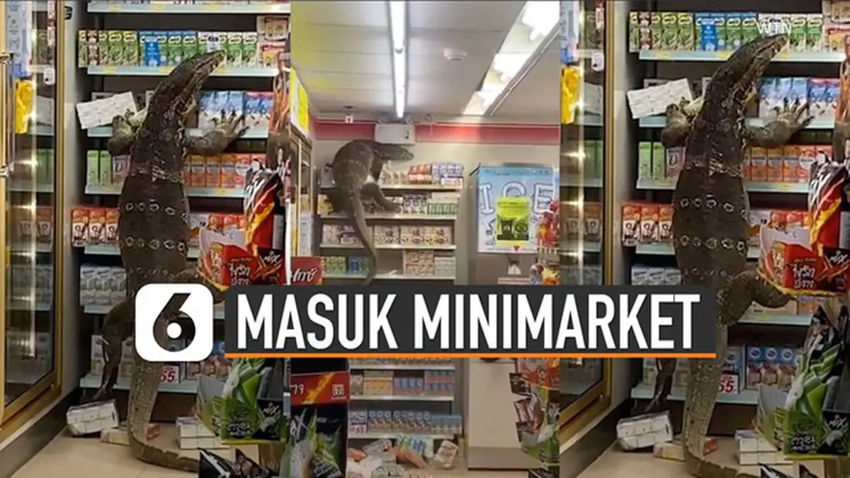 Berita Biawak masuk minimarket Hari Ini - Kabar Terbaru Terkini ...