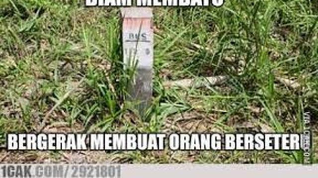 7 Meme Diam Bergerak Ini Banyak Terjadi di Dunia Nyata - Hot Liputan6.com