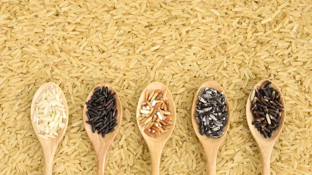 Cara Tepat Simpan Beras agar Bebas dari Kutu dan Jamur - Lifestyle ...