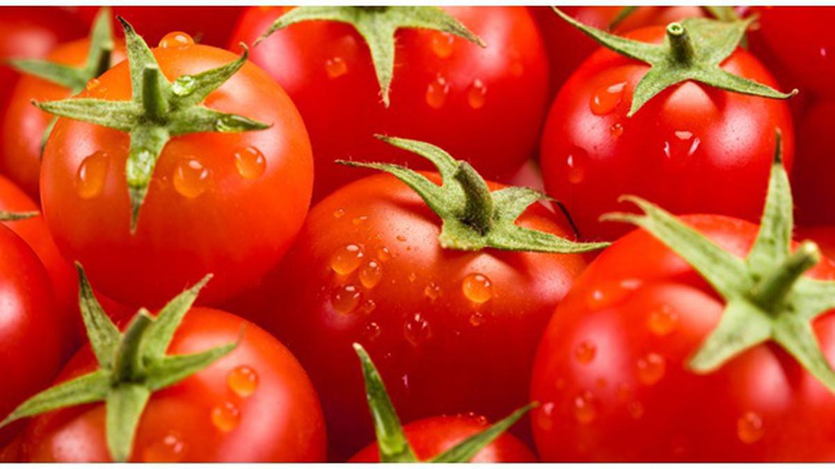 Ternyata Tomat Dapat Membuat Anda Semakin Cantik Lho - Beauty Fimela.com
