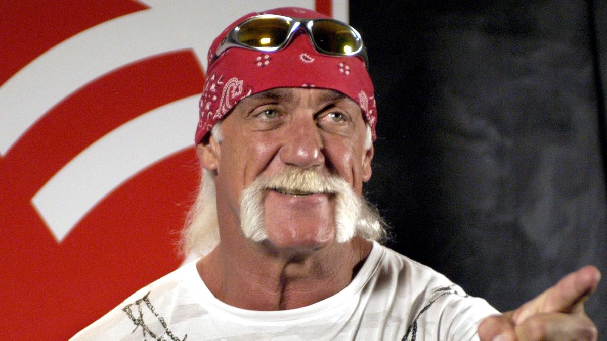 Hulk Hogan: The WWE Legend's Controversy and Life Revealed in the ...