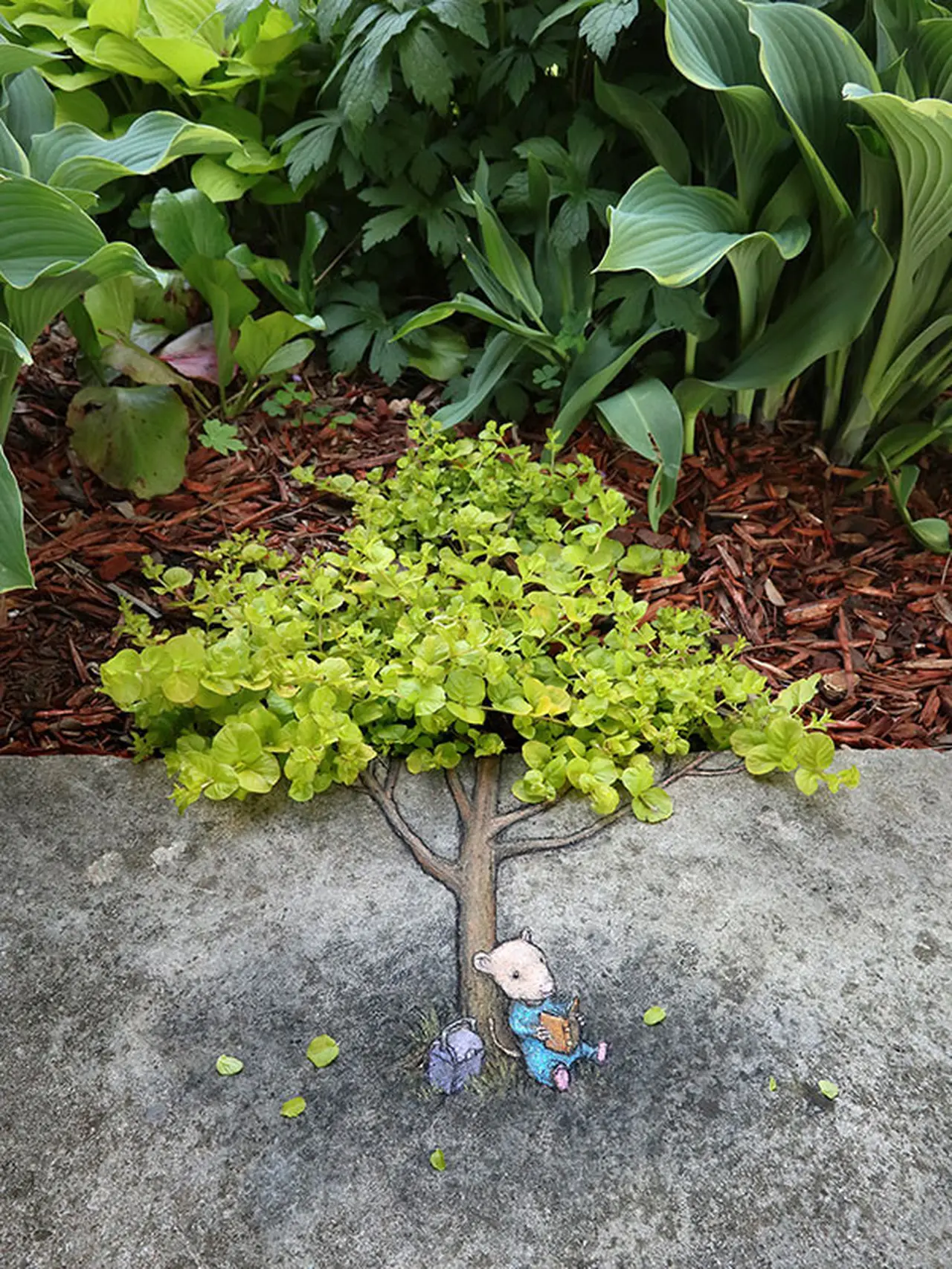 6 Lukisan Kapur di Tempat Usang Ini Kreatif, Perpaduannya Unik - Hot ...