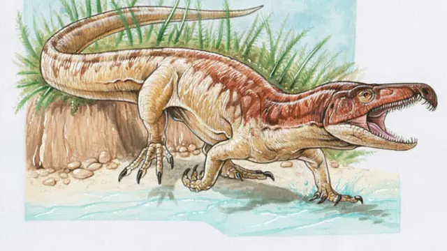 Penemuan Spesies Purba Mirip Buaya di India, Mengungkap Jejak Masa Lalu ...