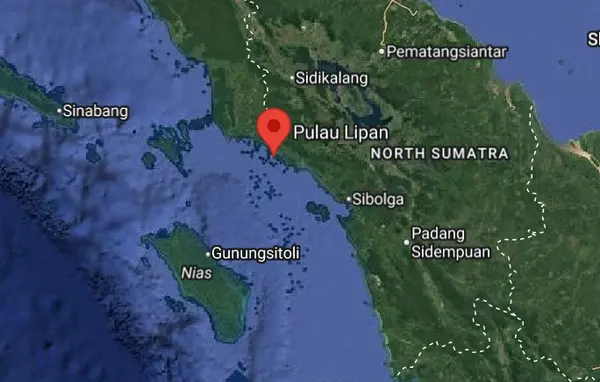 Cara Pakai Bulu Perindu: Panduan Lengkap Penggunaan dan Manfaatnya ...