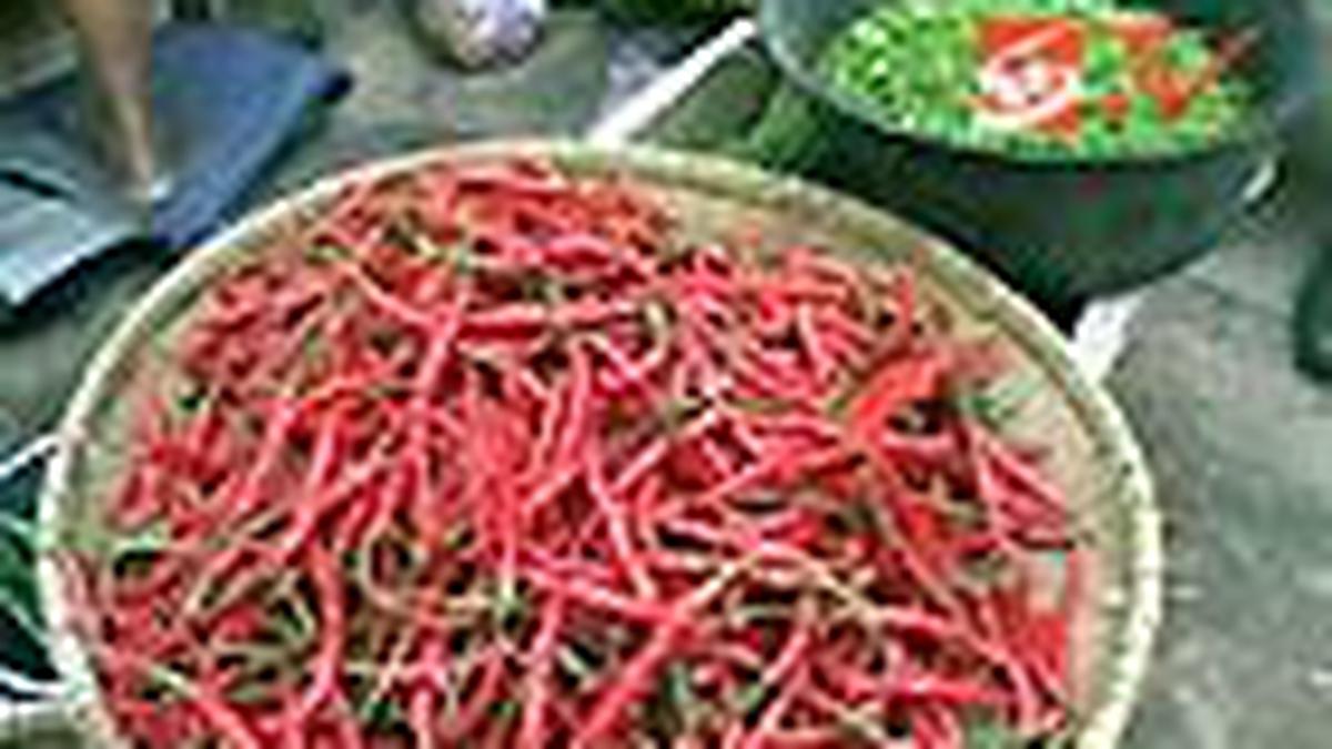 Harga Cabai Tembus Rp 125 Ribu - Enam Plus Liputan6.com