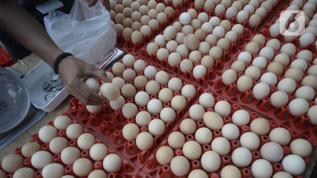 FOTO: Jelang Lebaran, Harga Telur Ayam di Tangsel Masih Normal - Foto ...