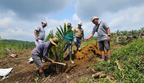 Raksasa Migas Inggris Target Proyek Tangguh UCC Bintuni Rampung Kuartal ...
