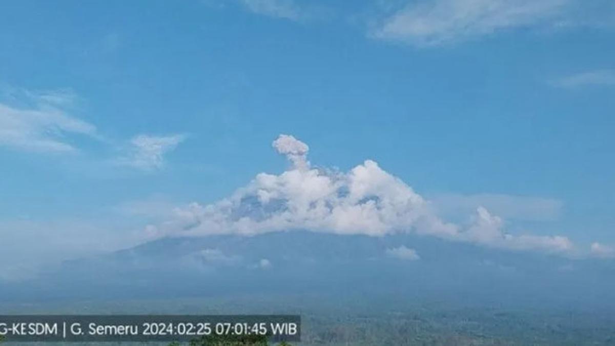 Gunung Semeru Kembali Luncurkan Abu Vulkanik Setinggi 800 Meter dari Puncak - Surabaya Liputan6.com