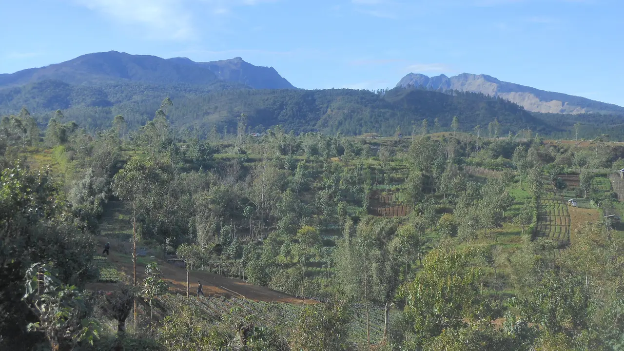 6 Fakta Menarik Gunung Bawakaraeng di Sulawesi yang Diartikan Gunung ...
