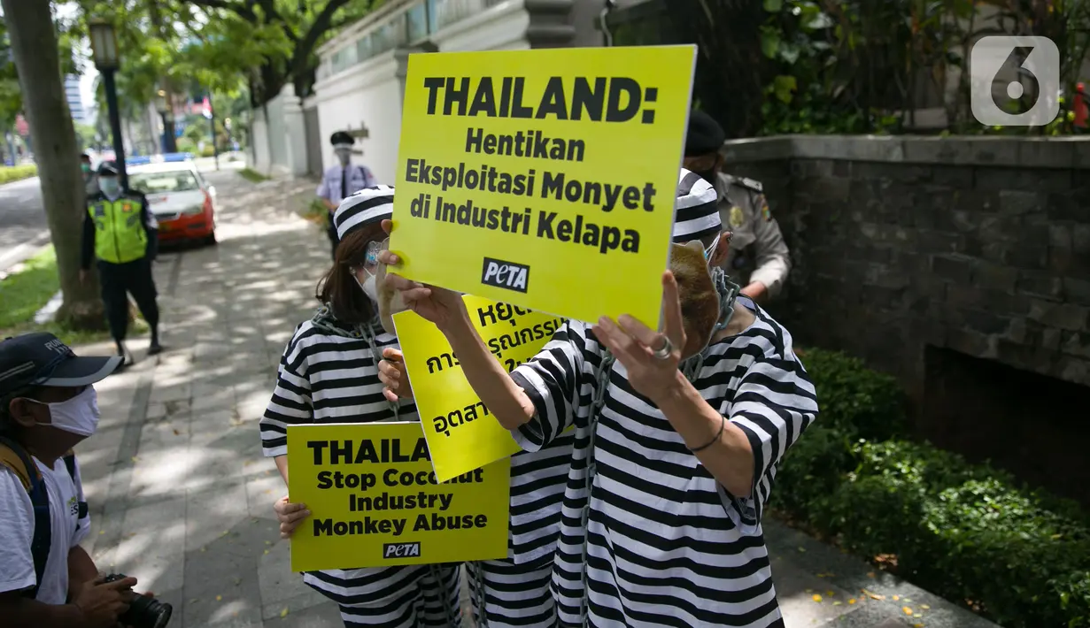 FOTO: Aksi Mengecam Eksploitasi Hewan di Kedubes Thailand - Foto ...