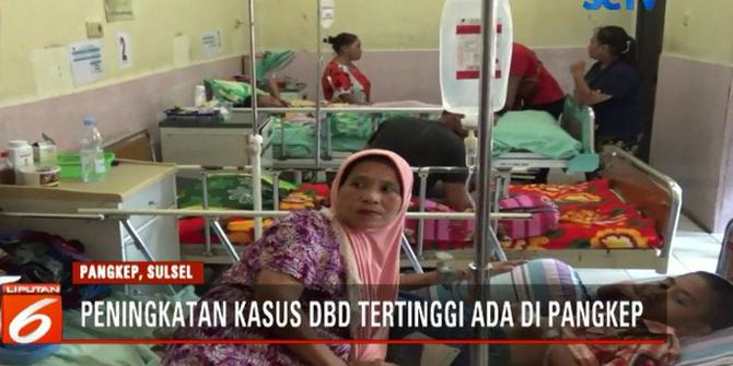 658 Orang Positif DBD di Sulel, 8 Orang Meninggal Dunia | Enamplus