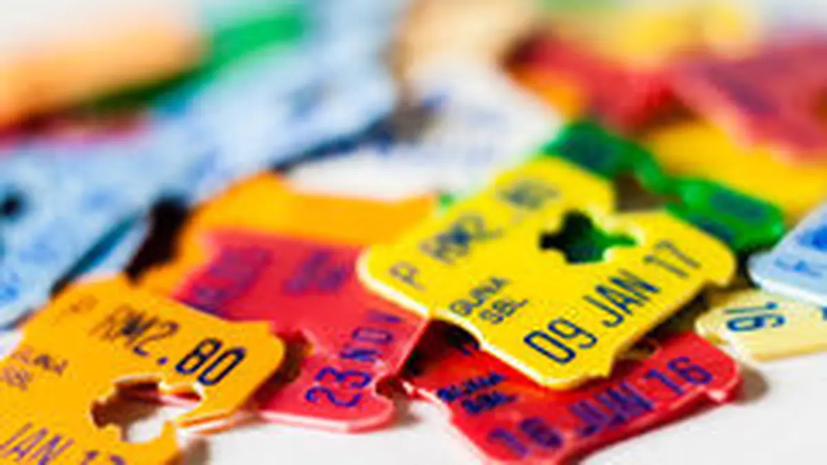 Berita Penanda Roti Tawar Hari Ini - Kabar Terbaru Terkini | Liputan6.com