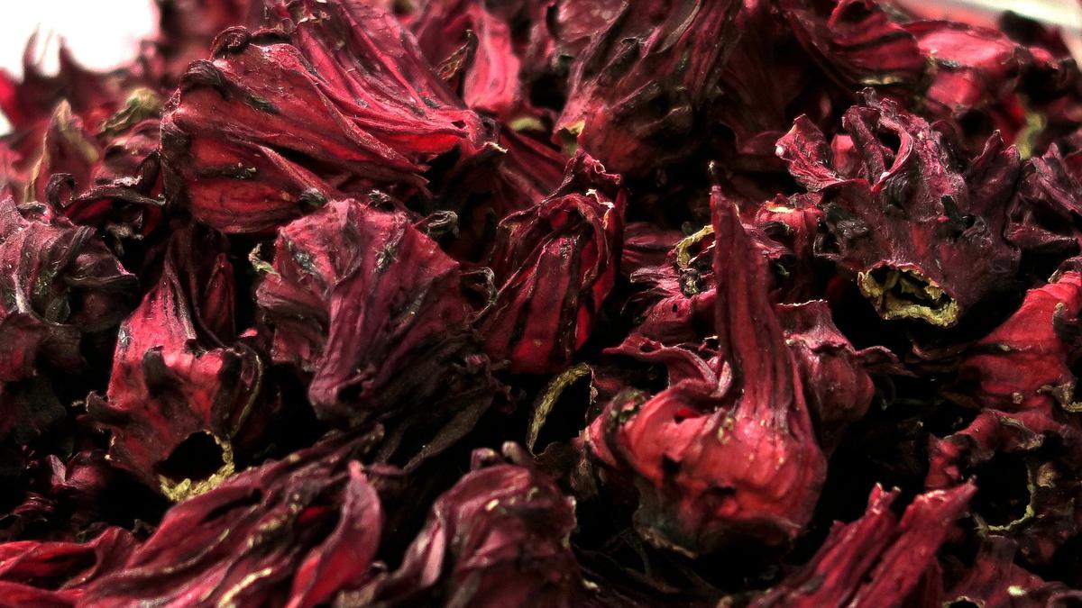 8 Manfaat Rosella, Bunga Populer bagi Kesehatan Tubuh - Ragam Bola.com