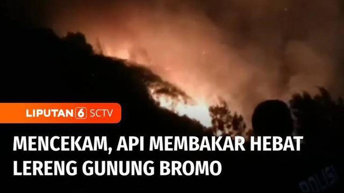 VIDEO: Kebakaran Terjadi di Lereng Gunung Bromo, Api Masih Belum Bisa ...