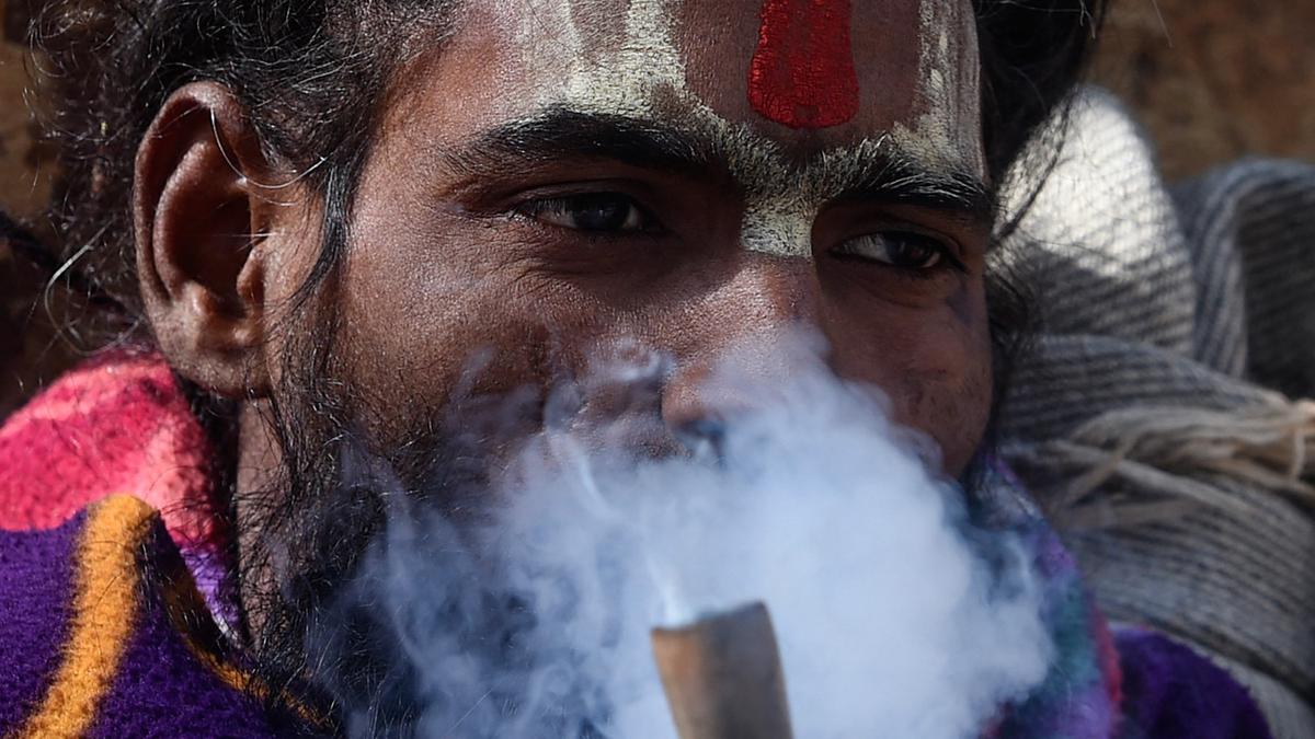 Tradisi Mengisap Ganja dalam Festival Maha Shivaratri - Lifestyle ...