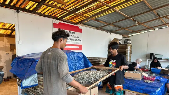 CSR Badak LNG Olah Ikan Teri jadi Bernilai Ekonomi, Kisah Sugiono Sang Pensiunan Guru SD ...