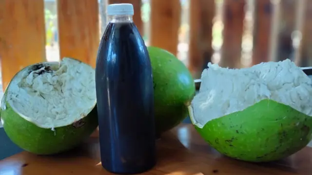 Kreatif, ASN di Purwakarta Olah Buah Berenuk Jadi Minuman Segar yang ...