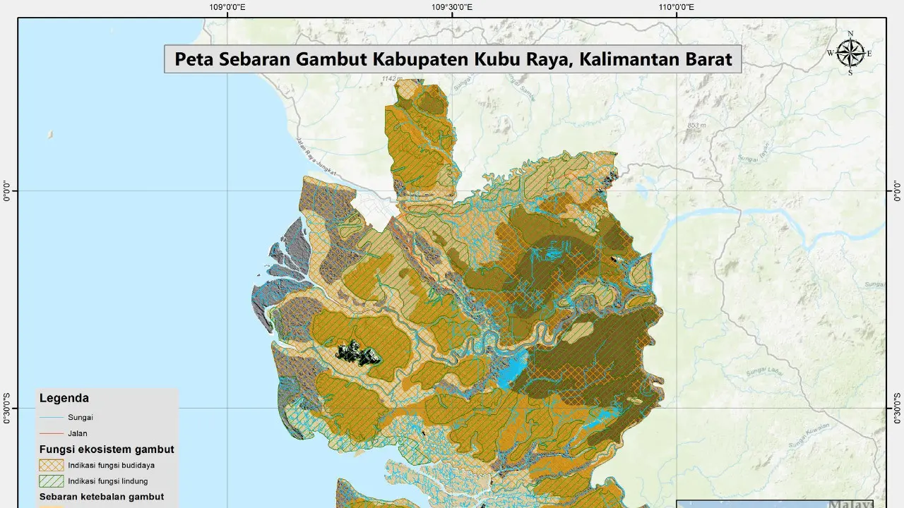 Pengelolaan Ekosistem, Menuju Gambut Lestari di Kubu Raya - Regional ...