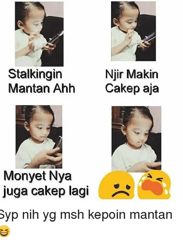 7 Meme Perjuangan Orang Stalking Media Sosial Ini Ujungnya Bikin Ngenes ...