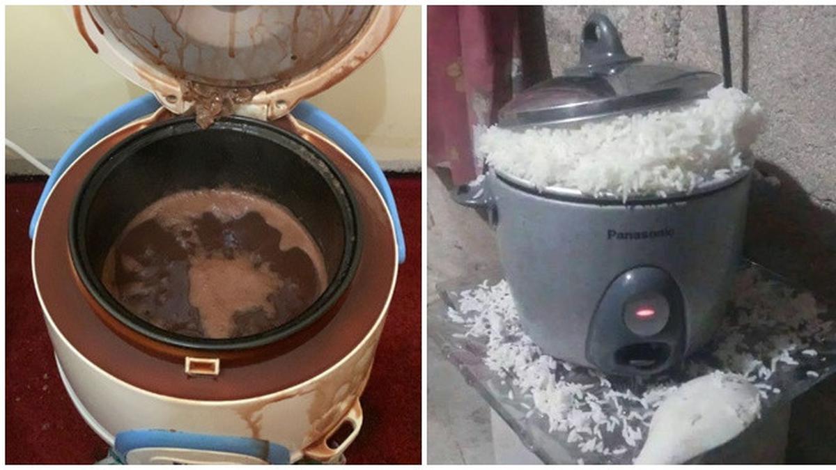 6 Momen Apes Masak Pakai Rice Cooker Ini Bikin Elus Dada - Hot Liputan6.com