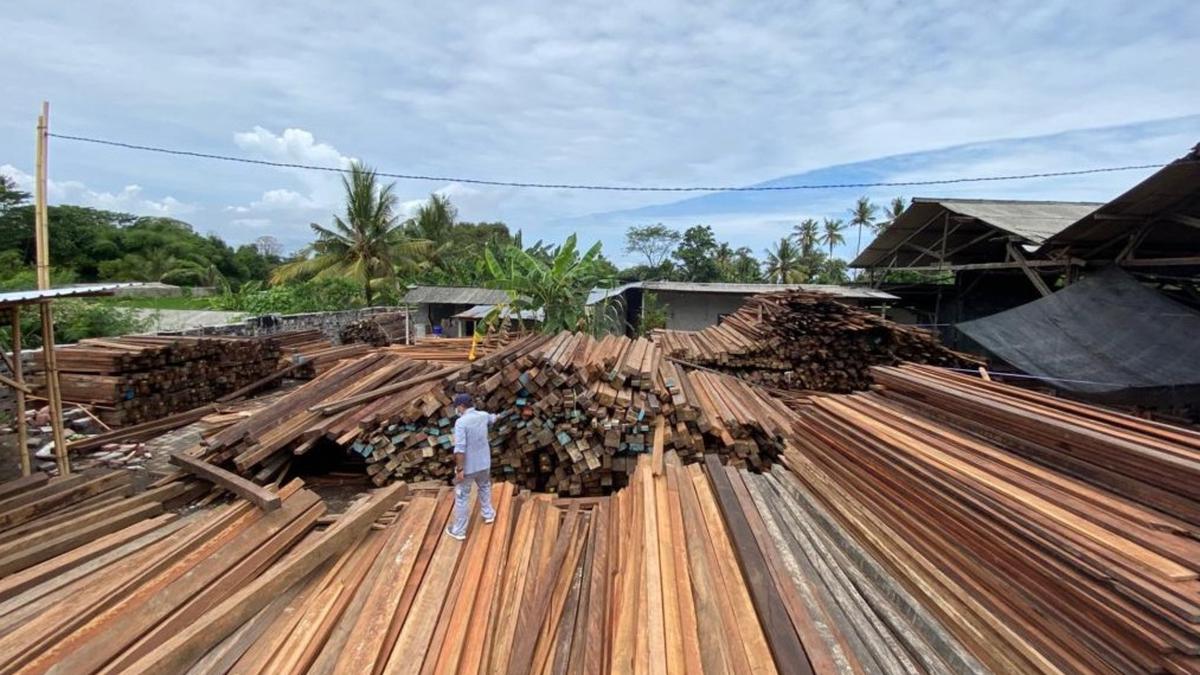 Manfaat Kayu Ulin, Mulai dari Pengobatan hingga Dekorasi - Regional ...