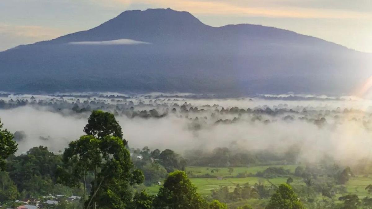 6 Fakta Menarik Gunung Pesagi, Gunung Tertinggi di Lampung dengan ...