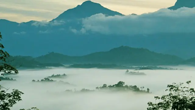 6 Fakta Menarik Gunung Bawang, Gunung Keramat Bagi Suku Dayak di ...