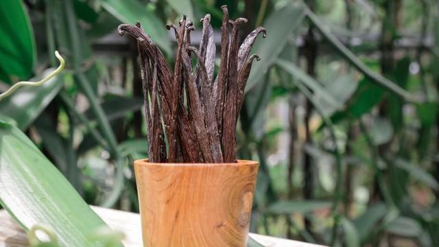 Lidya Angelina Rinaldi, Pendiri La Dame in Vanilla yang Ajak Petani ...