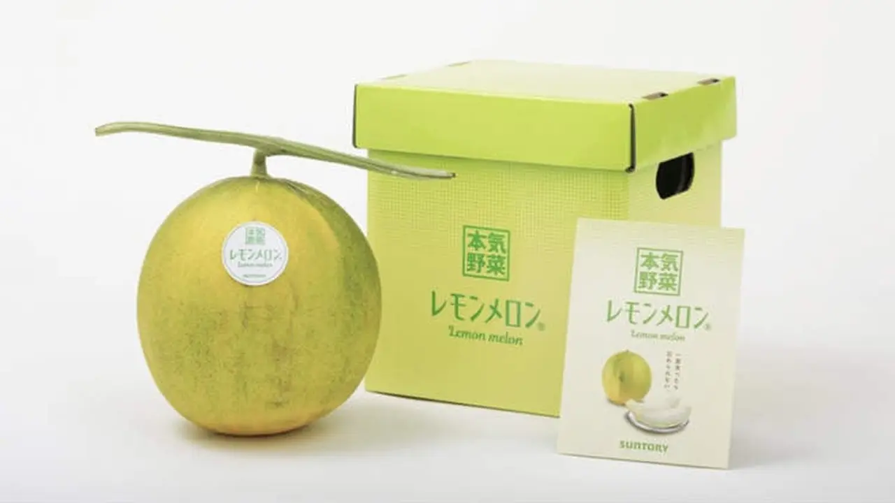 Lemon Melon Buah Baru dari Jepang Seharga Rp348 ribu, Rasanya Segar ...
