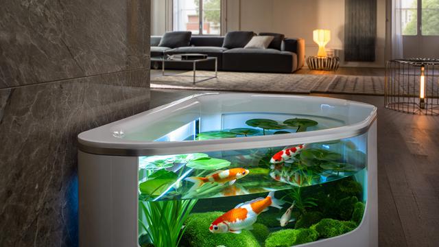 6 Model Kolam Ikan Portable yang Estetik di 2025, Cocok untuk Hiasan ...